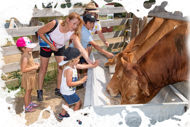 Limousine Park, viens t’amuser à la ferme